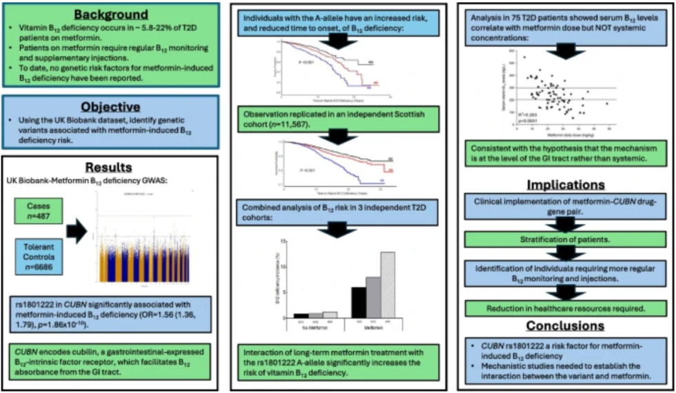 Genetic risk for metformin-associated B12 deficiency | GMED